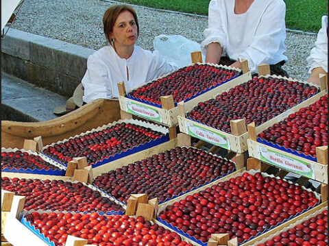 Pieve del Grappa | Murer House Foundation