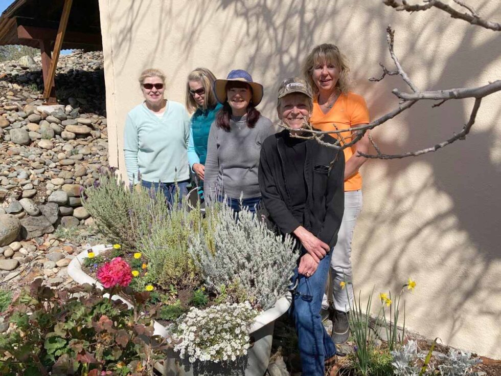 Volunteer at the Historic Murer House and Gardens | Murer House Foundation